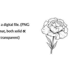 Carnation Digital Stamps, Carnation PNG, Carnation Hand Drawn ...