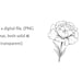 Carnation Digital Stamps, Carnation PNG, Carnation Hand Drawn ...