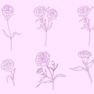 Carnation Procreate Stamp, Procreate Botanical Stamps, Procreate Flower ...