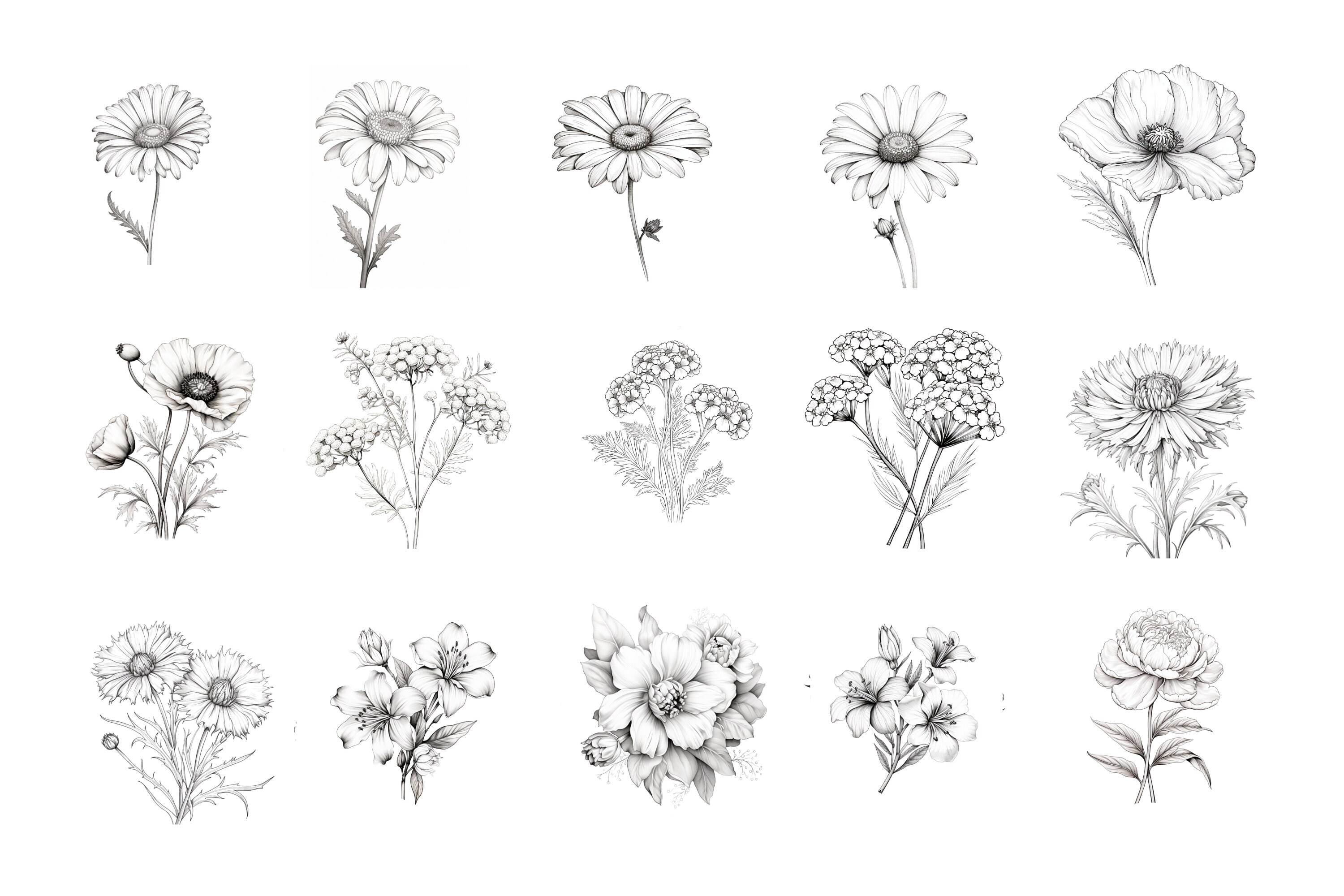 Delicate Flowers Outline Clipart, Delicate Flowers Procreate, Delicate ...