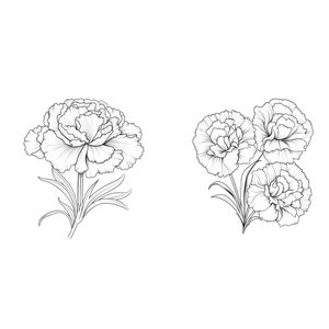 Carnation Digital Stamps, Carnation PNG, Carnation Hand Drawn ...