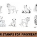 Lion Procreate Stamp, Lion Stamps, Lion and Cubs Tattoo Procreate ...