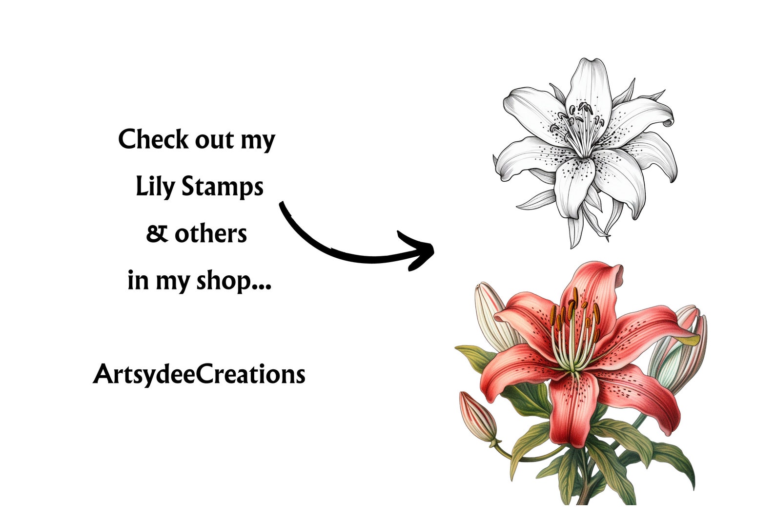 Carnation Procreate Stamp, Procreate Botanical Stamps, Procreate Flower ...