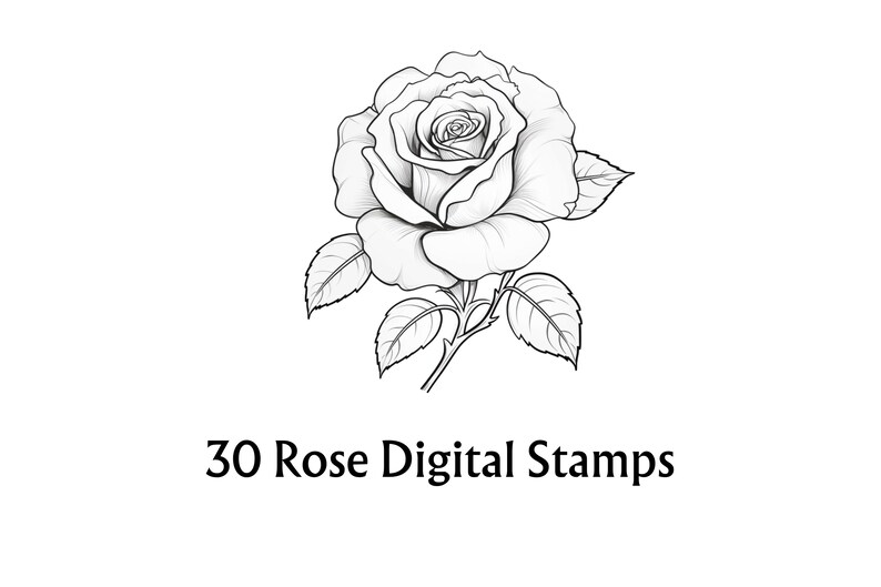 Rose Digital Stamps, Rose Digi Stamp, Digtal Stamps, Digi Stamps, Digi ...