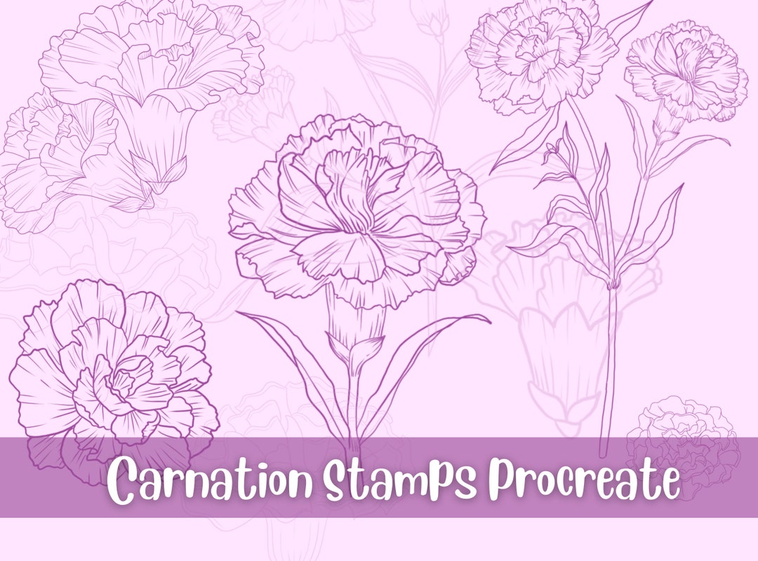 Carnation Stamps Procreate, Procreate Botanical Stamps, Procreate ...