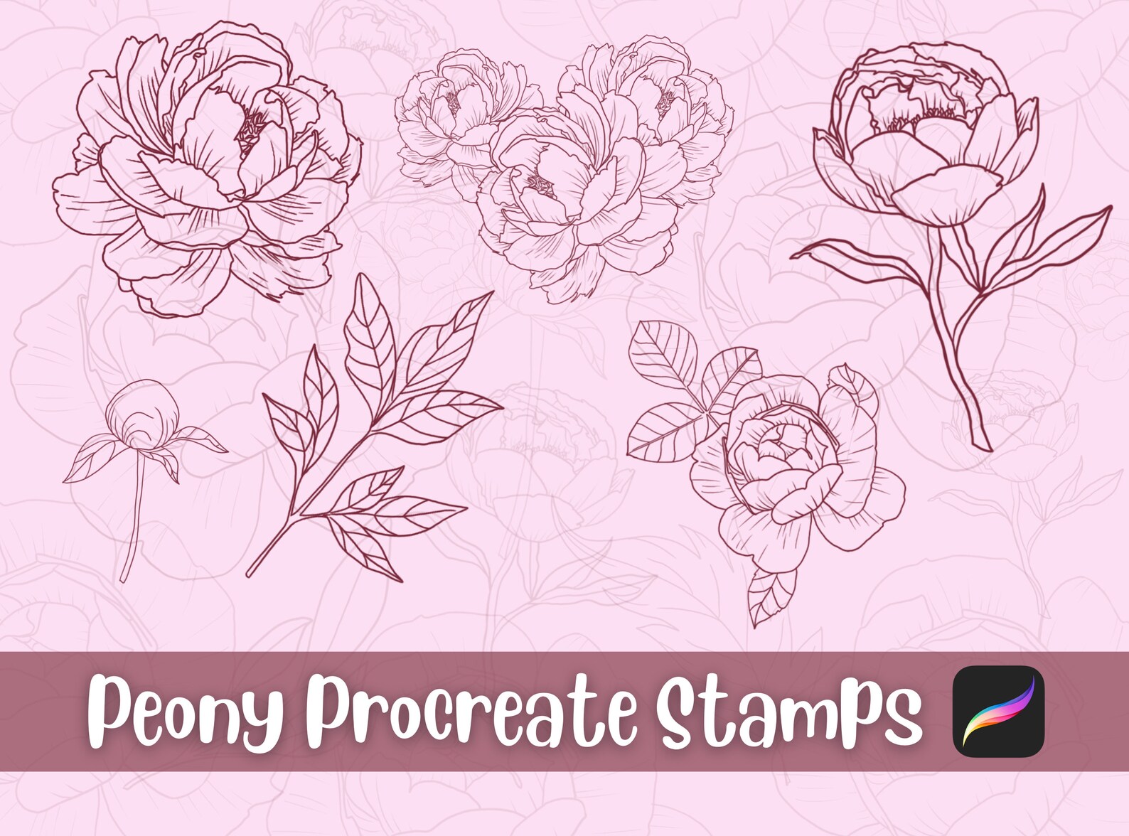 Procreate Peony Stamps, Peony Brushes, Procreate Brushes, Floral Tattoo ...