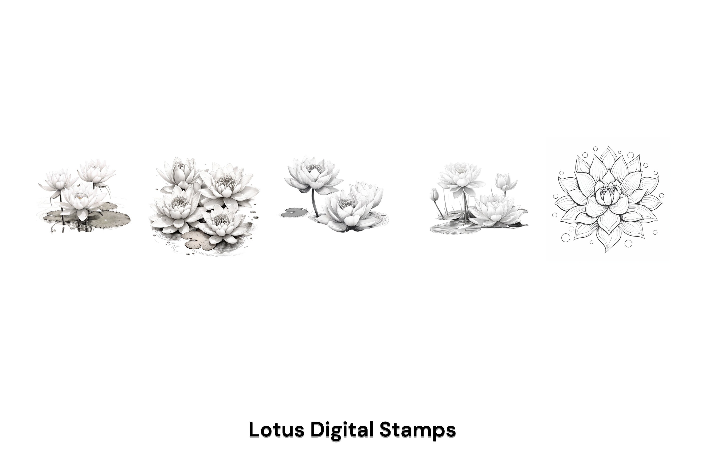 30 Lotus Stamps, Lotus, Digital Stamps, Digi Stamps, Lotus Tattoo ...