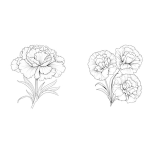 Carnation Procreate Stamp, Procreate Botanical Stamps, Procreate Flower ...