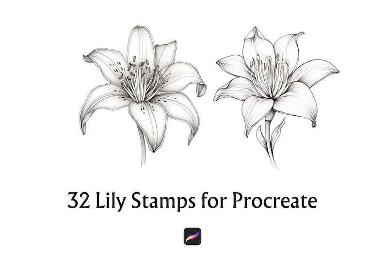 32 Lily Procreate Stamp, Procreate Stamps, Procreate Brushes, Procreate ...