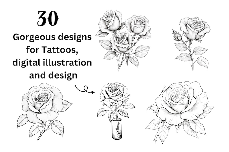 30 Rose Procreate Stamps, Rose Procreate Stamp, Procreate Stamps ...