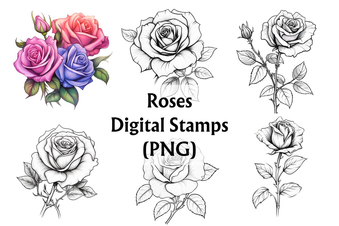 Rose Digital Stamps, Rose Digi Stamp, Digtal Stamps, Digi Stamps, Digi ...
