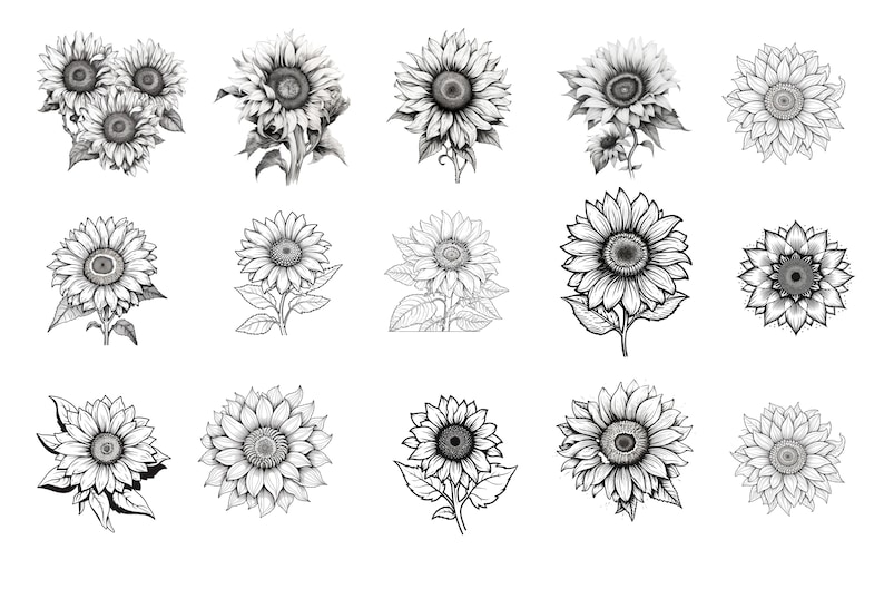 32 Realistic Sunflower Procreate Stamps, Sunflower Procreate Procreate ...