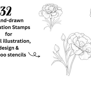 Carnation Digital Stamps, Carnation PNG, Carnation Hand Drawn ...