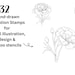 Carnation Digital Stamps, Carnation PNG, Carnation Hand Drawn ...