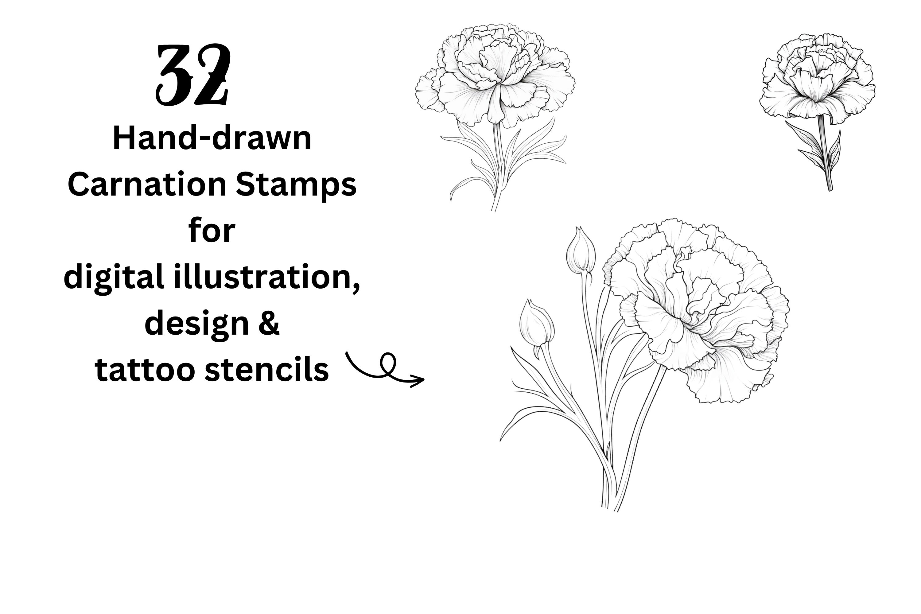 Carnation Digital Stamps, Carnation PNG, Carnation Hand Drawn ...