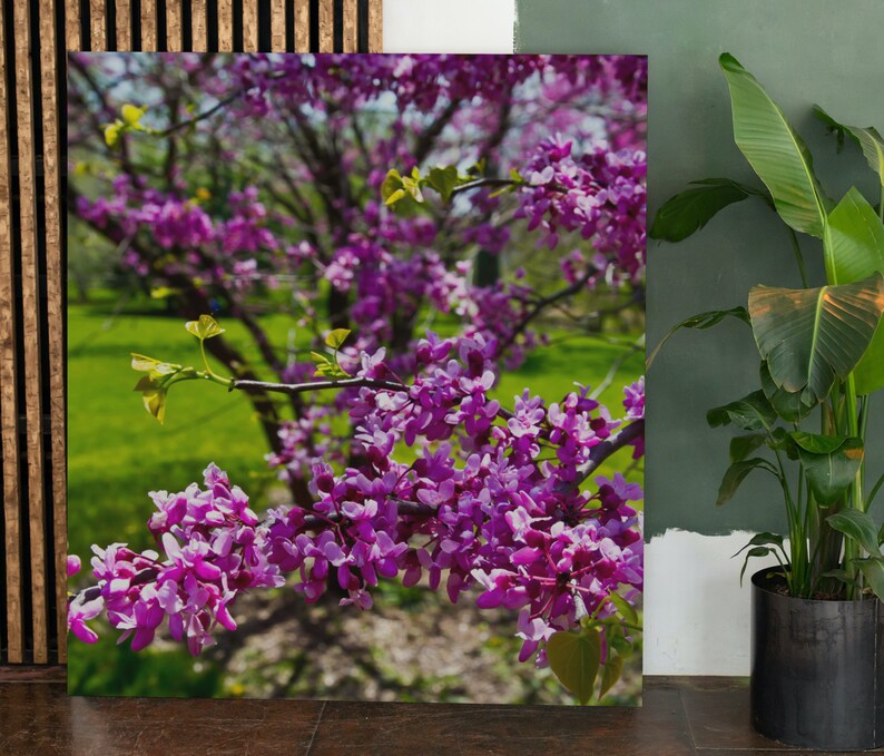 Adventurous Photographer Lincoln Park A Lovely Reminder of a Simple ...