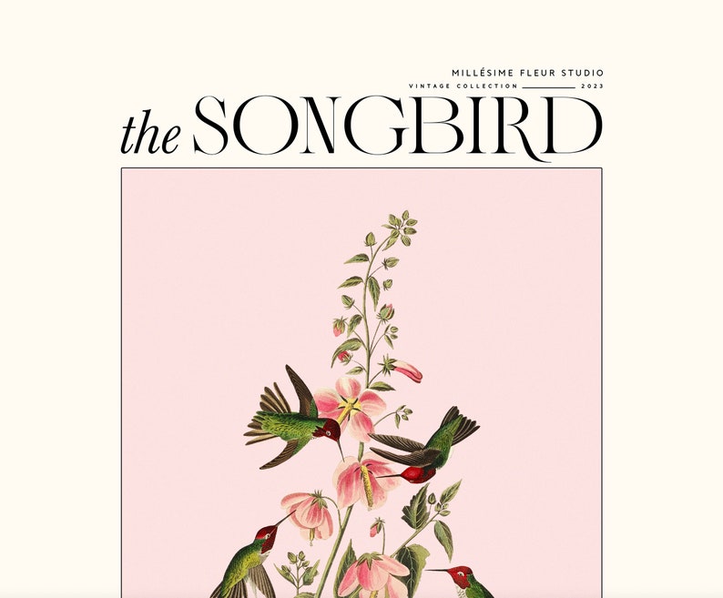 Songbird Printable Pink Bird Printable Bird Download Bird Printable Art ...