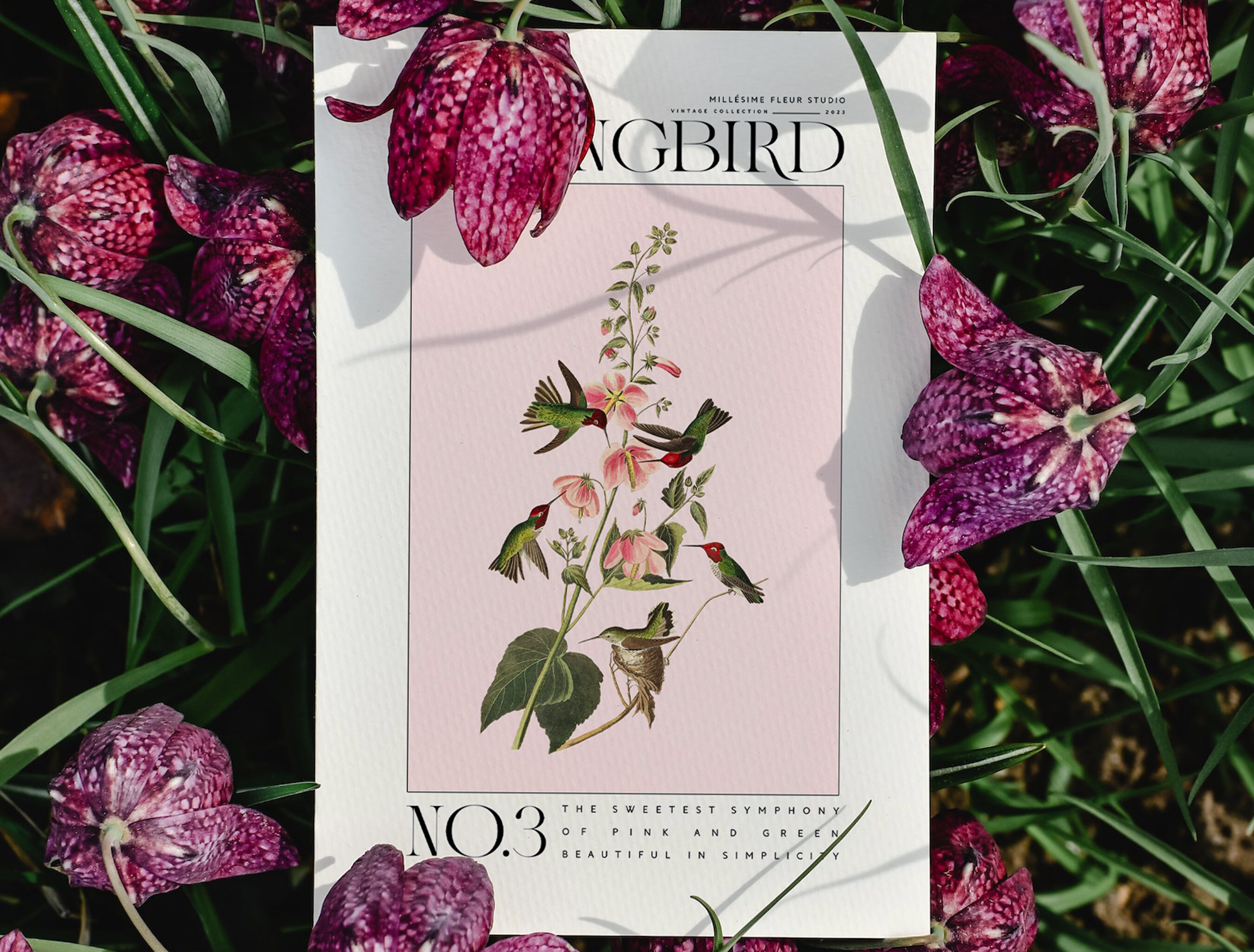 Songbird Printable Pink Bird Printable Bird Download Bird Printable Art ...