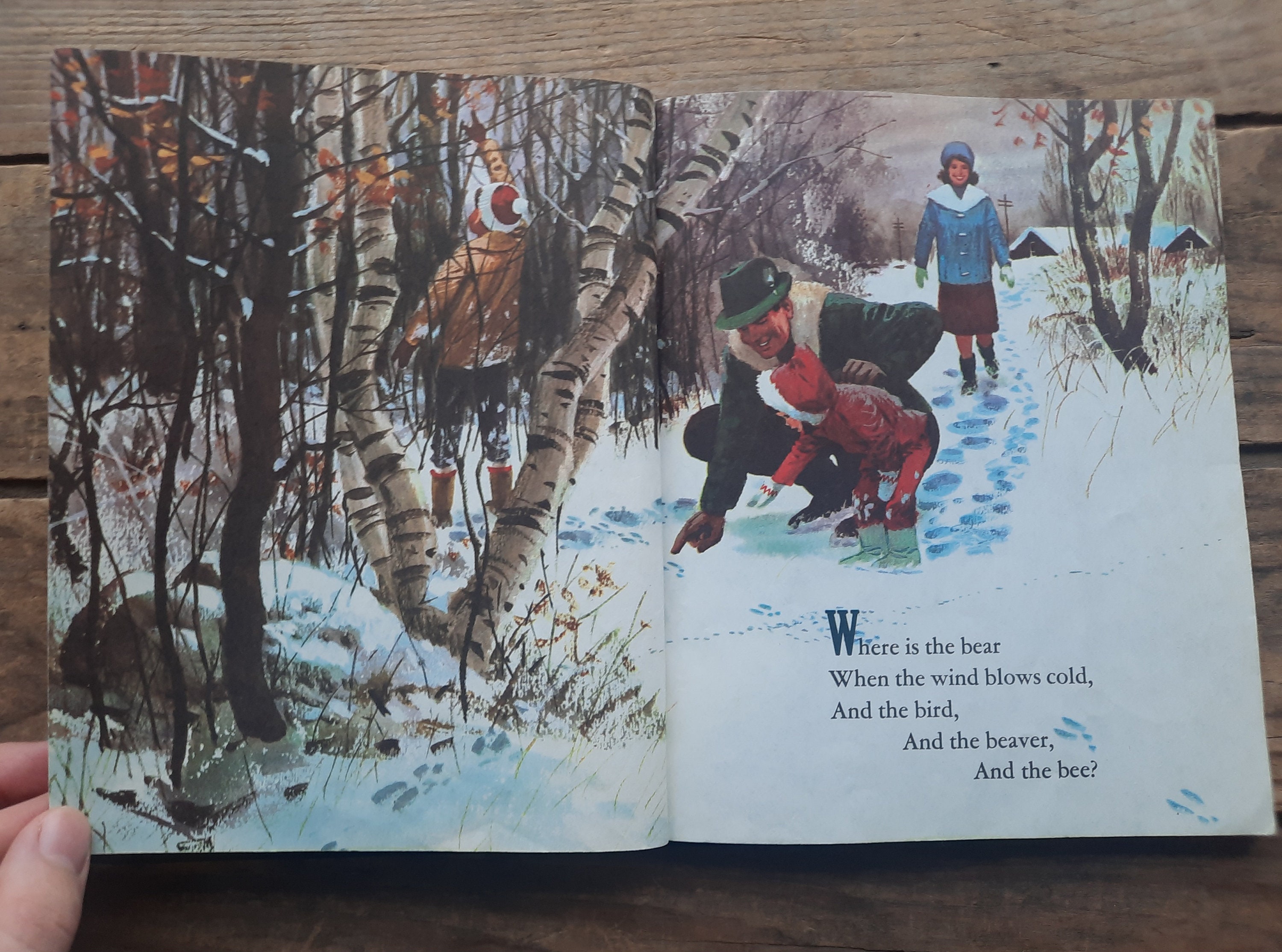 Where is the Bear? by Betty Hubka, Illustrated by Mel Crawford, A ...
