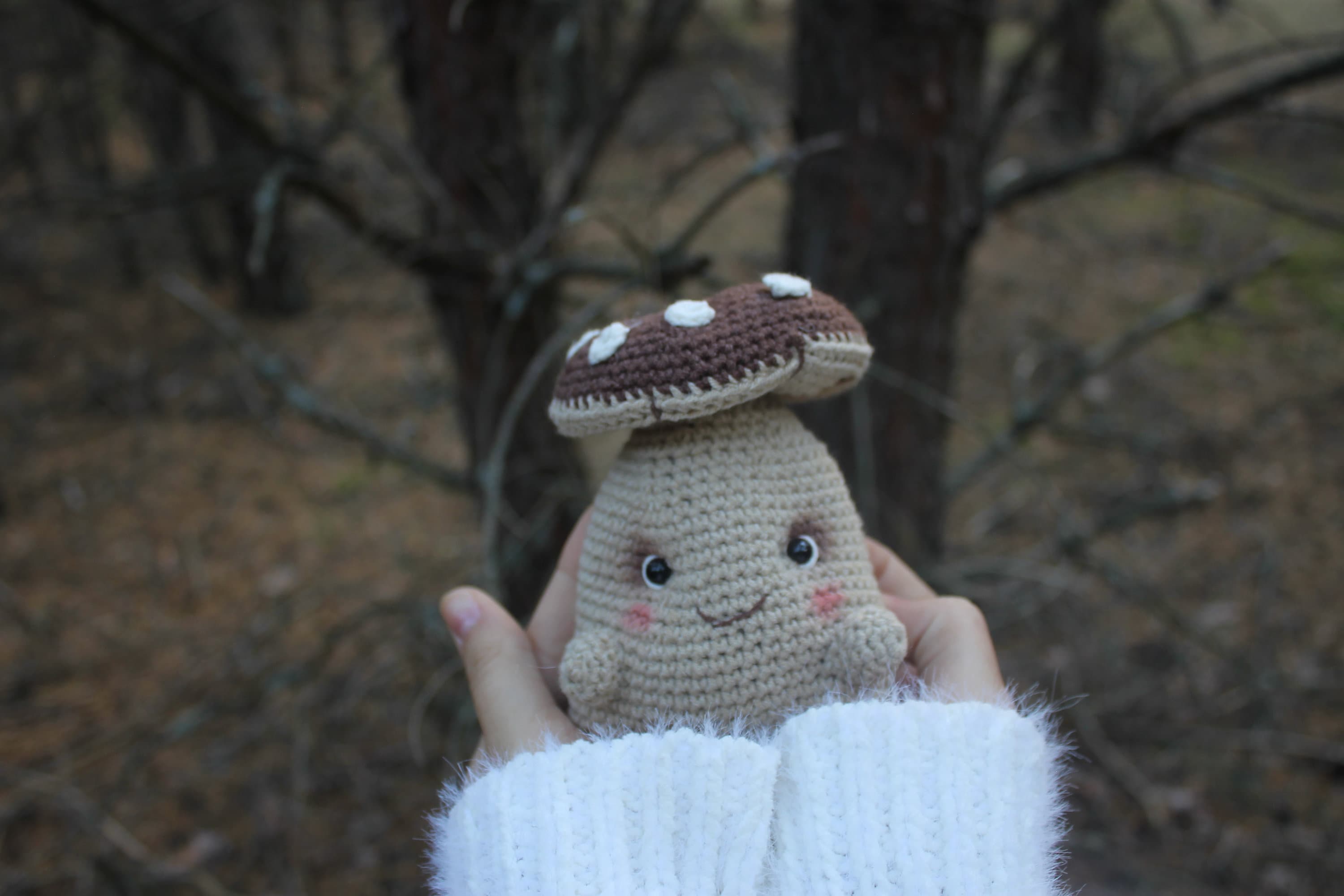 Magic Mushroom Baby Toy Amigurumi Mushroom Toy Mushroom - Etsy