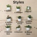 Mini Succulent Fridge Magnet | Planter Fridge Magnet | Plant Lover Gift ...
