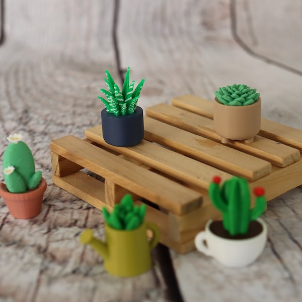 Succulent Magnet - Etsy