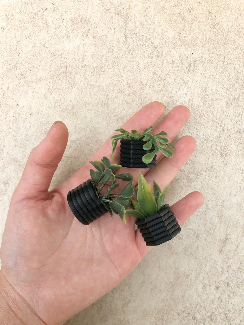 Mini Succulent Fridge Magnet Planter Fridge Magnet Plant - Etsy