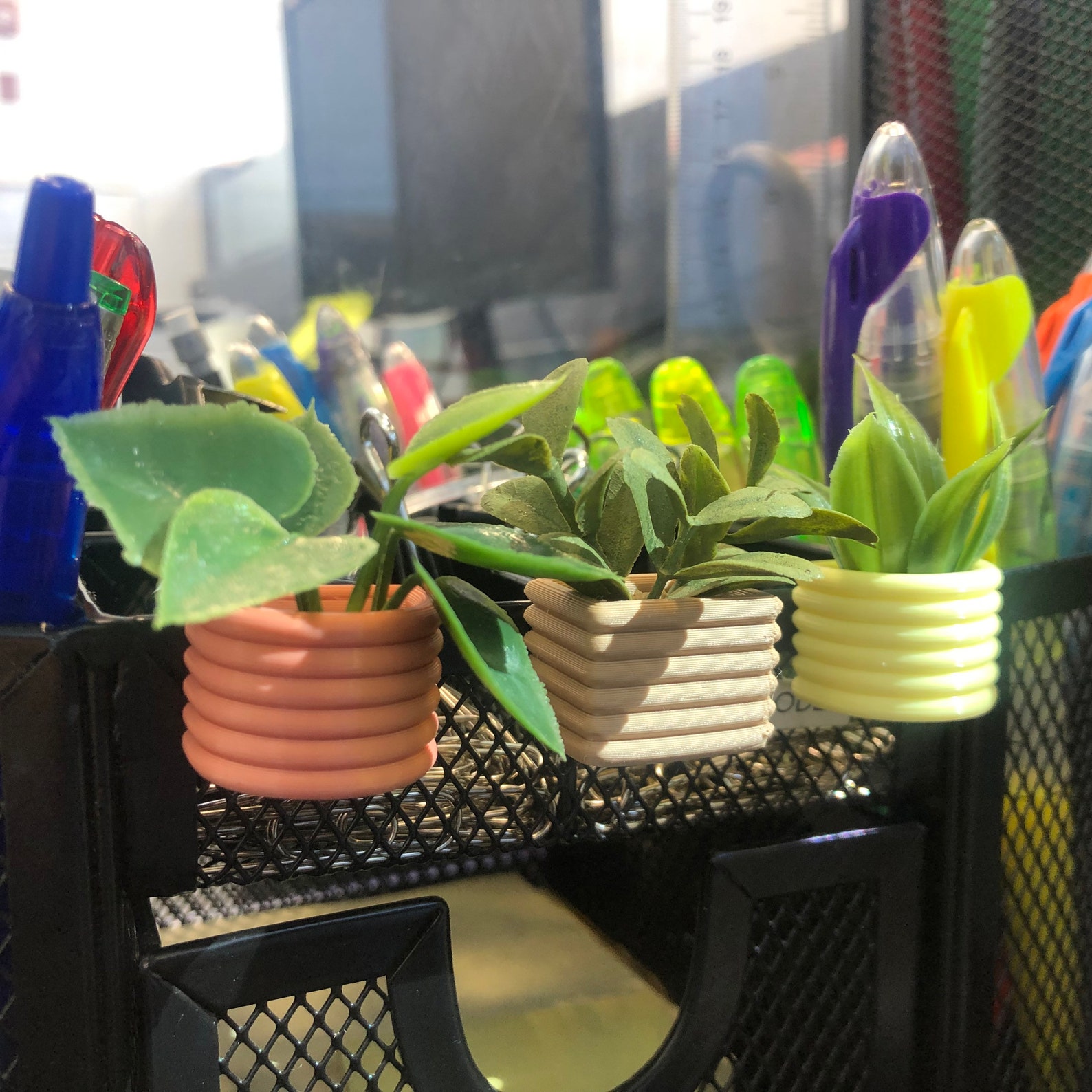 Mini Succulent Fridge Magnet Planter Fridge Magnet Plant Lover Gift ...