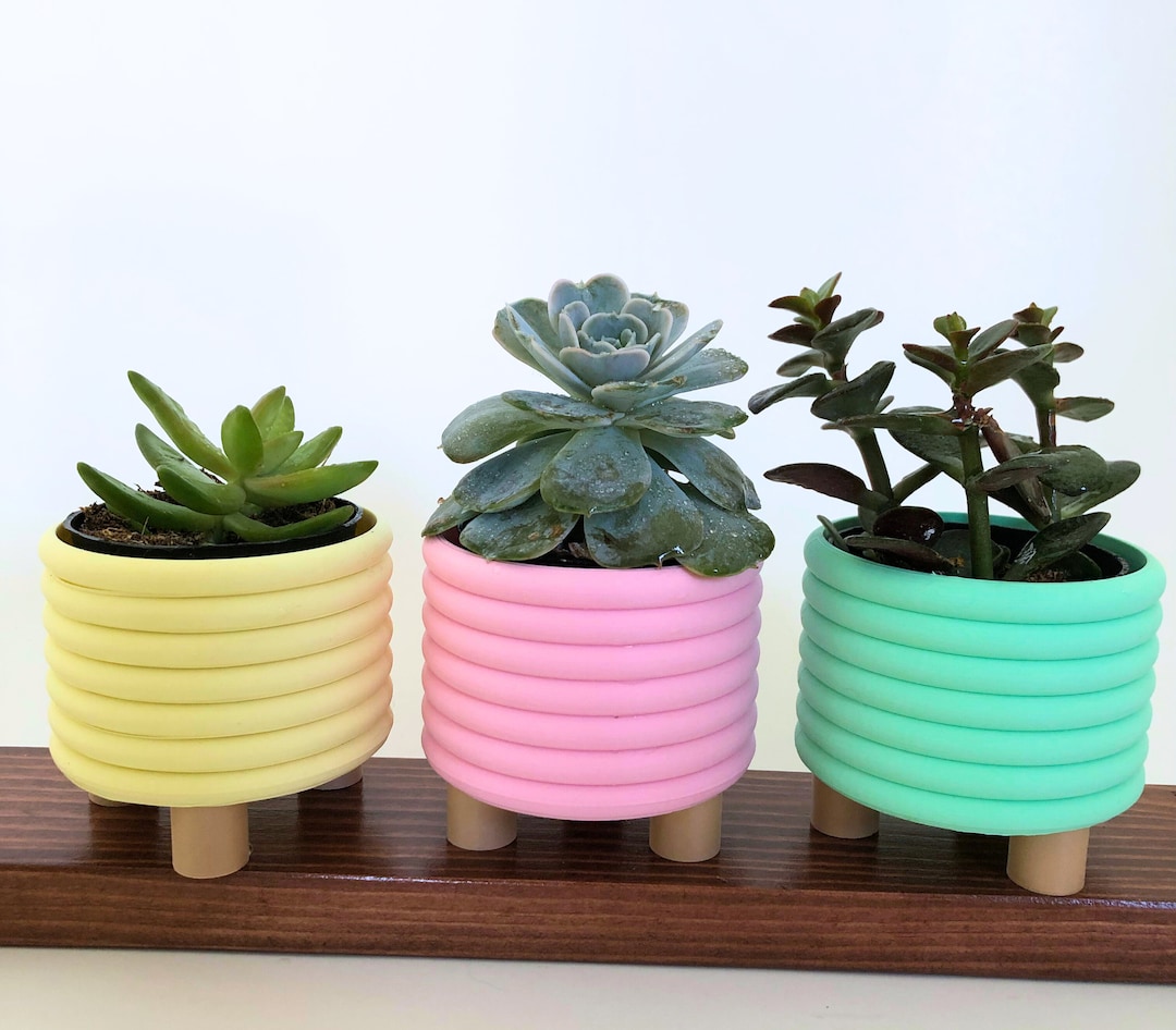 Set of 3 Round Bubble Planter Cute Pastel Planter Minimalist Home Decor ...