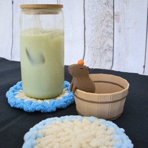 Capybara in Tub Coaster Set - 2 Coaster Included - Cute Desk Companion ...