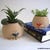 Junimo Planter Stardew Valley Planter and Gift - Etsy