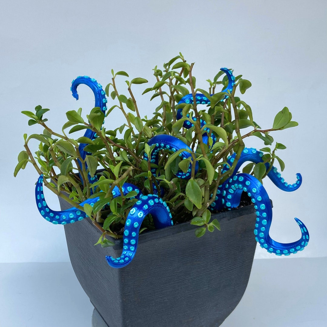 House Plant Accessories Decor - Set of 8 Sea Monster Tentacles - Etsy House Plant Accessories Decor - Set of 8 Sea Monster Tentacles - Etsy