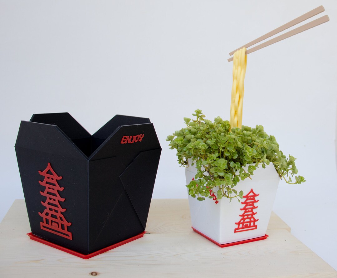 Chinese Takeout Planter | Indoor Planter With Drain Holes and Drip Tray ...