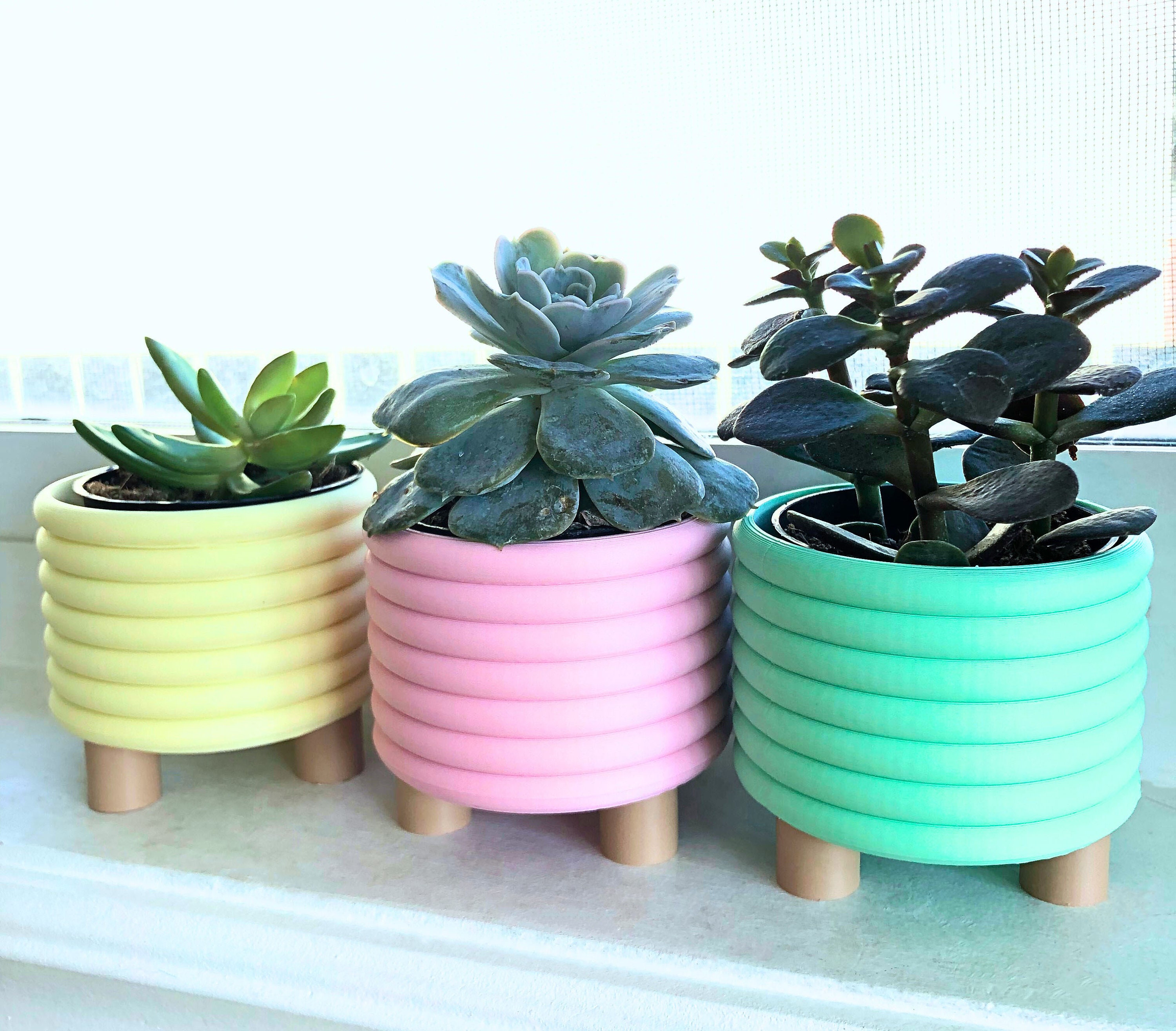 Round Bubble Planter Cute Pastel Planter Minimalist Home - Etsy Canada