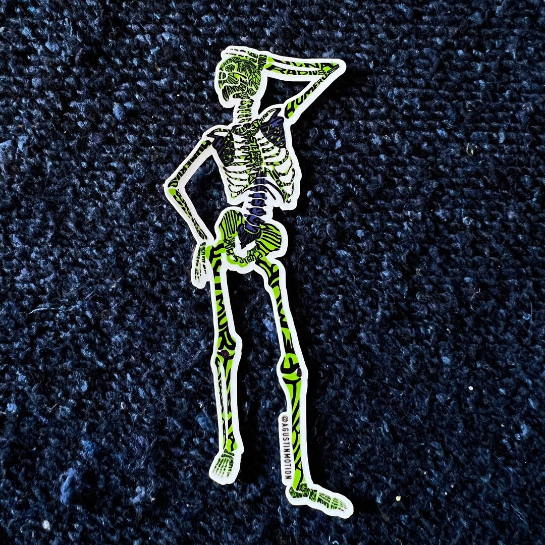 Skeleton Pose Laminated Sticker, DPT, Anatomy, Labeled, Bones - Etsy