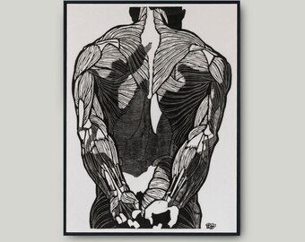 Back Muscles Poster - Etsy