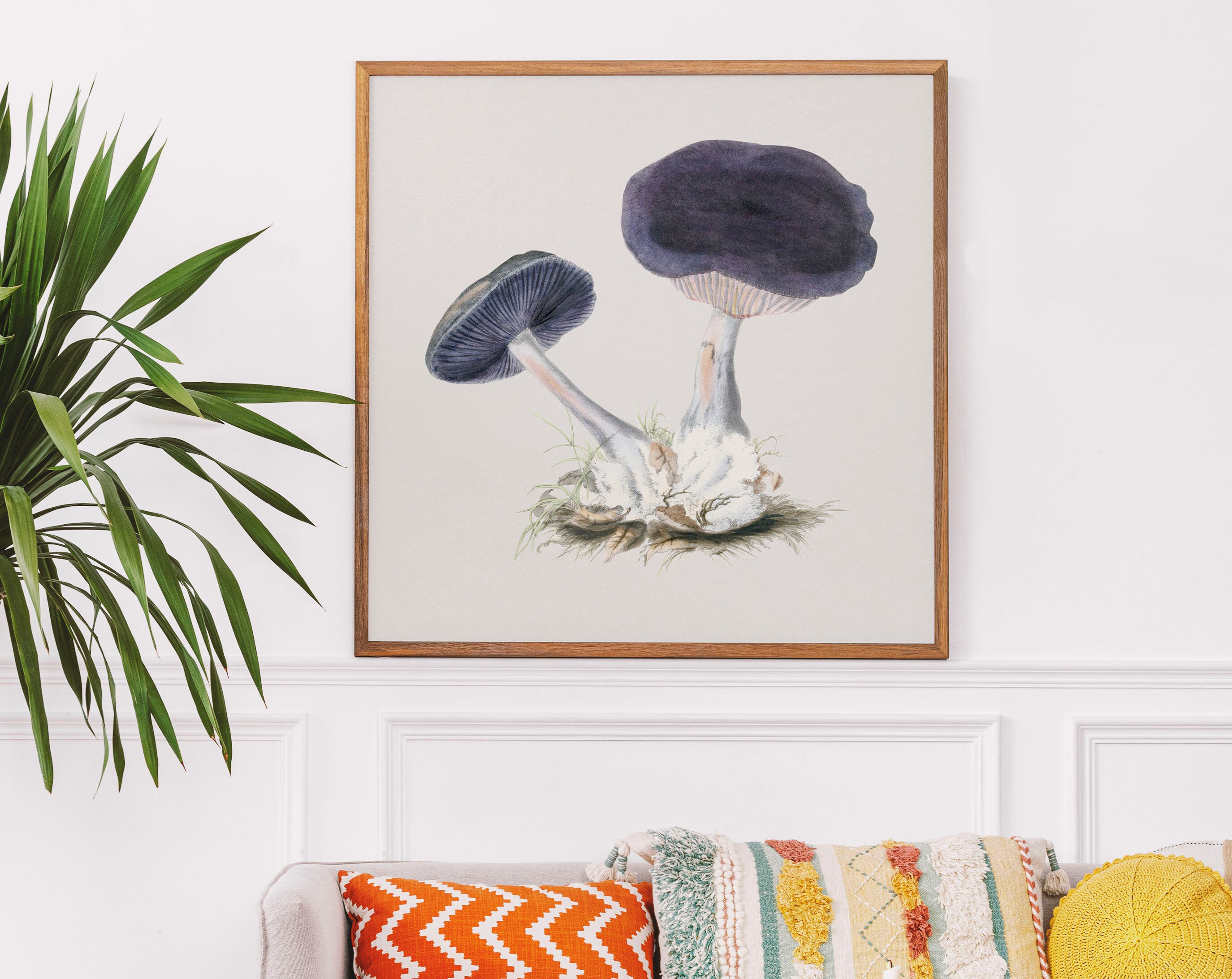 Vintage Violet Webcap Mushroom Illustration Mycology - Etsy