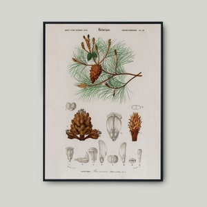 Maritime Art - Etsy