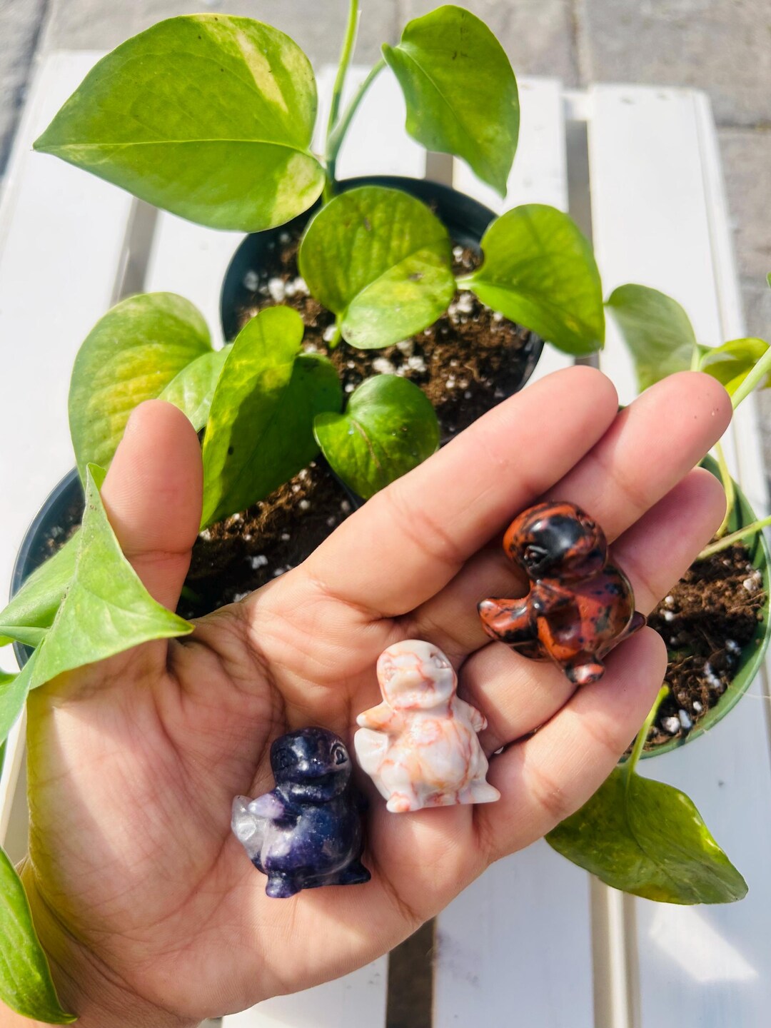 Hand Carved Charmander Random Crystal Natural Stone - Etsy
