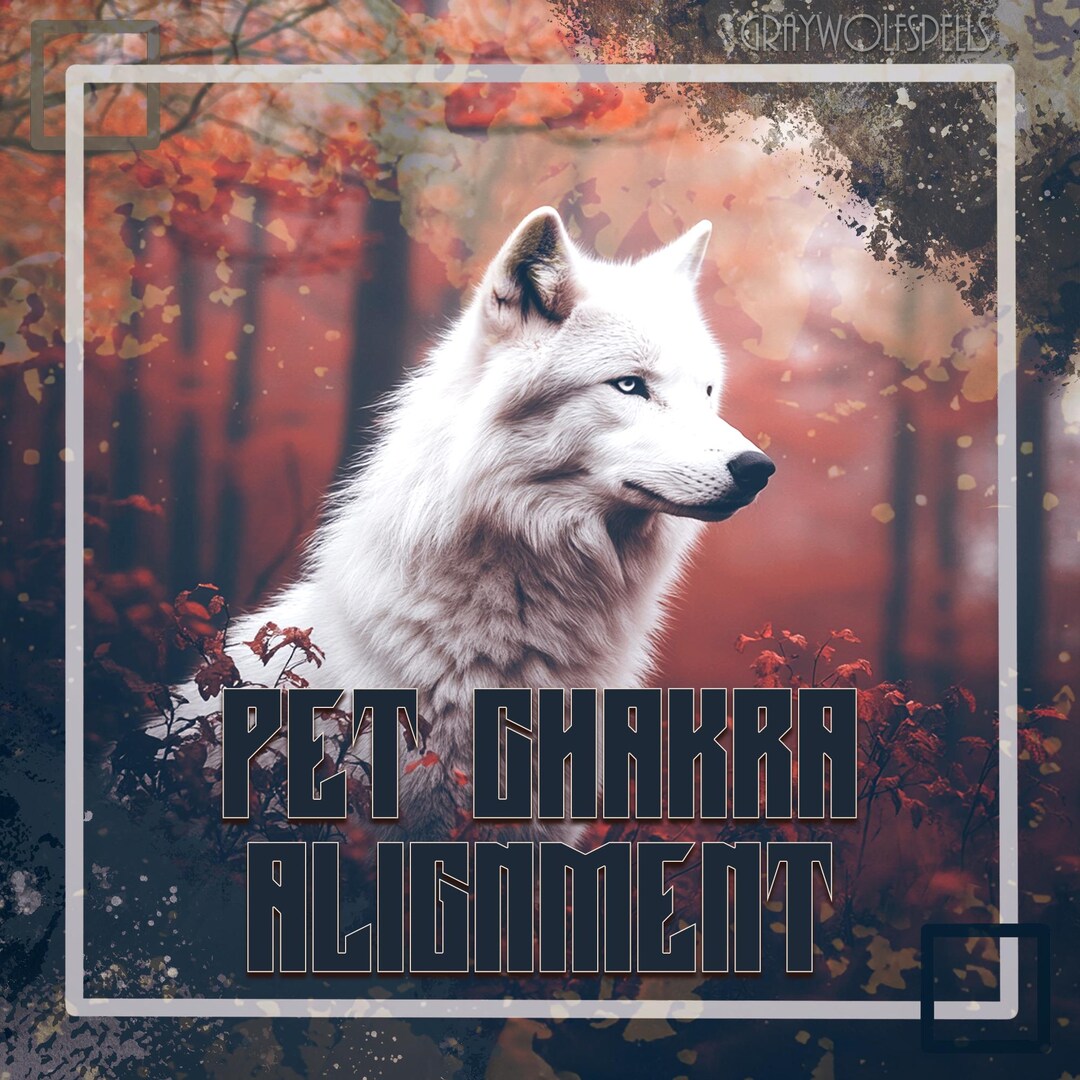 Pet Chakra Alignment and Energy Balance // Eleven Chakra Point Support ...