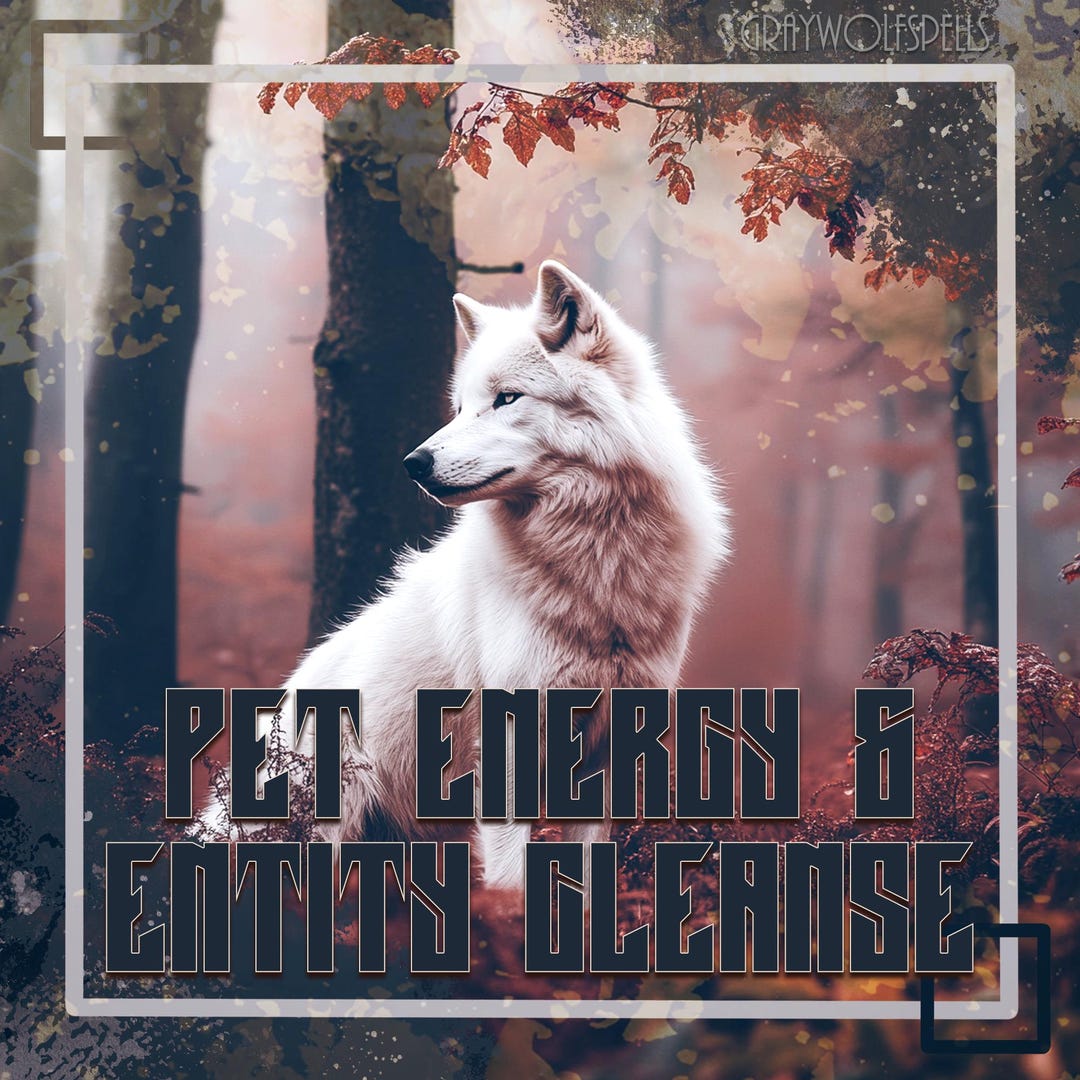 Pet Energy and Entity Cleanse // Release Negative Energy and ...