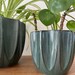 Green Behemoth Ceramic Planter Pot - Etsy