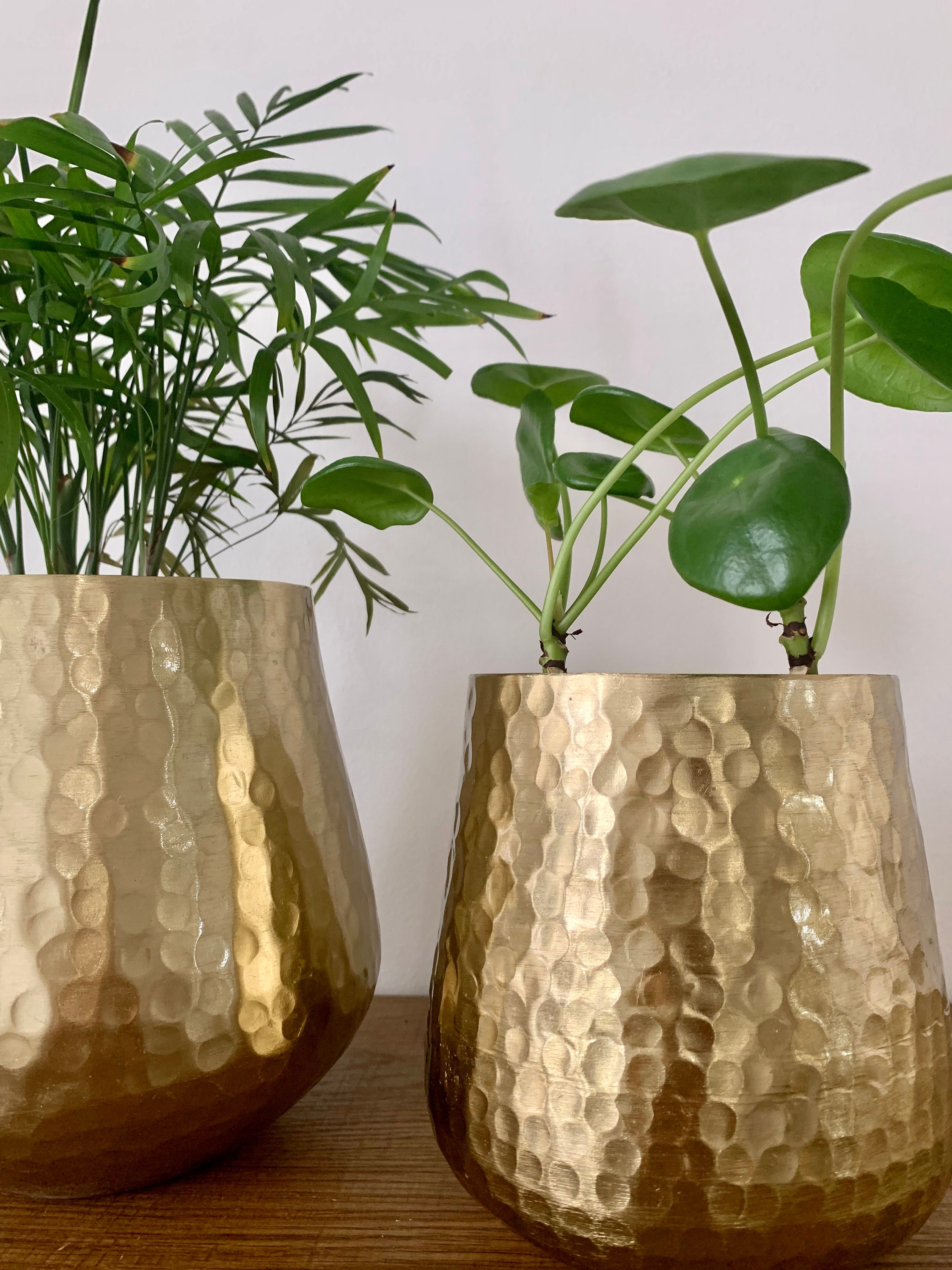 Muted Gold Hammered Metal Plant Pot - Iridescent Collection - Etsy