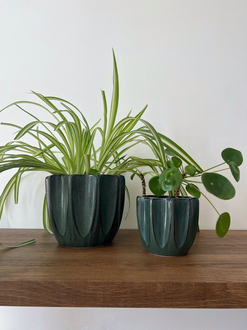 Green Behemoth Ceramic Planter Pot - Etsy