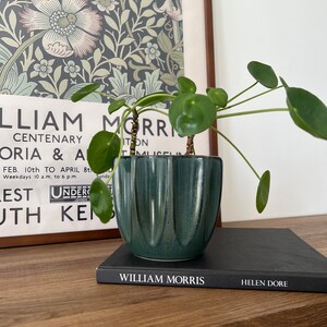 Green Behemoth Ceramic Planter Pot. Unique Pattern. Indoor Outdoor ...