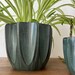 Green Behemoth Ceramic Planter Pot - Etsy