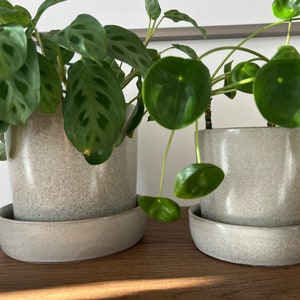 Light Grey Ceramic Plant Pot With Saucer - Etsy