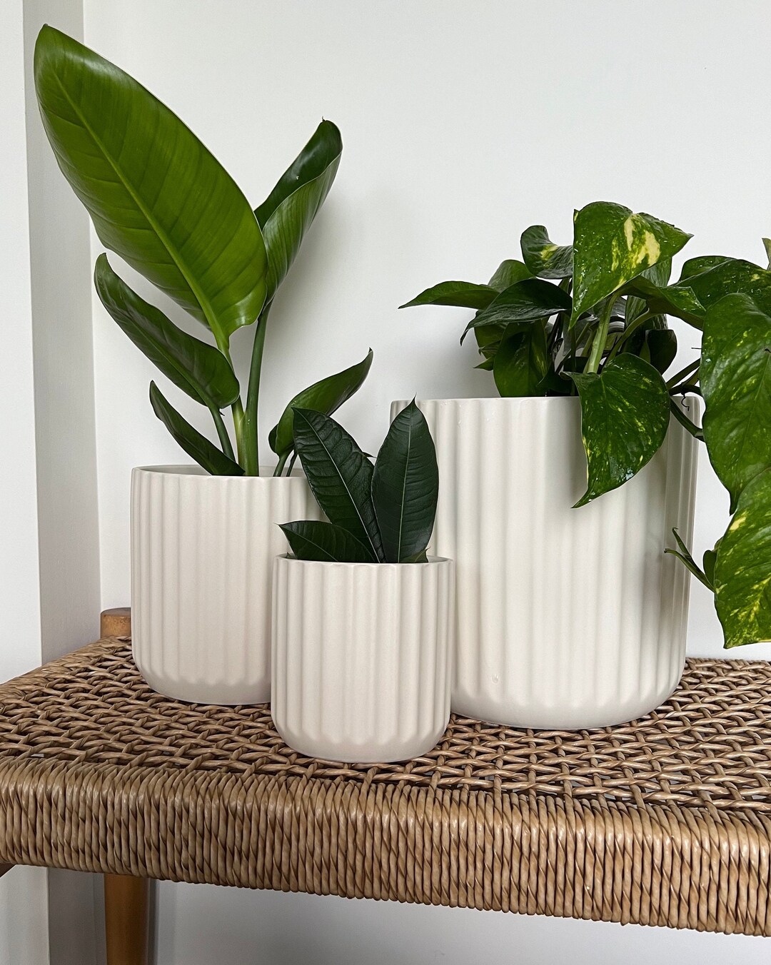 White Grooves Ceramic Planter Pots - Etsy