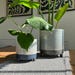 Blue Gradient Ceramic Footed Planter: Minimalist Pottery - Etsy