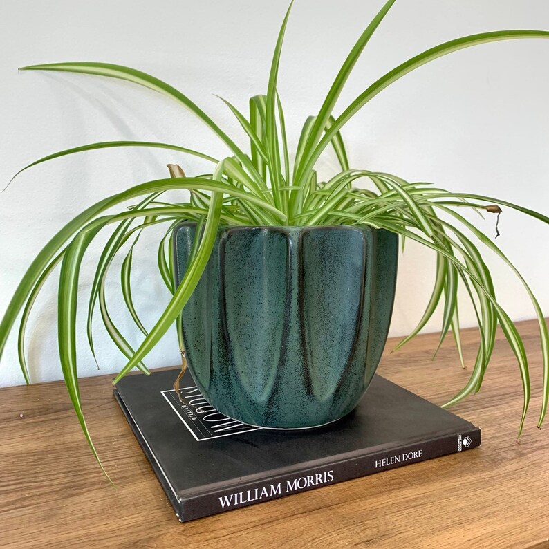 Green Behemoth Ceramic Planter Pot - Etsy